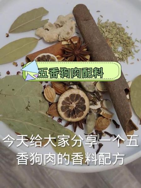 煮狗肉放什么调料好吃_狗肉去腥增香技巧-第1张图片-山城妙识