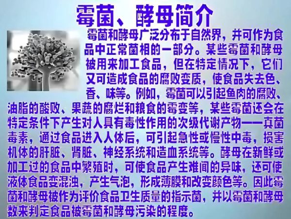 酵母菌的作用与功效_酵母菌对人体有什么好处-第3张图片-山城妙识 酵母菌的作用与功效_酵母菌对人体有什么好处-第3张图片-山城妙识