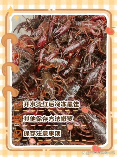 活大龙虾怎么保存_活大龙虾多少钱一斤-第1张图片-山城妙识 活大龙虾怎么保存_活大龙虾多少钱一斤-第1张图片-山城妙识