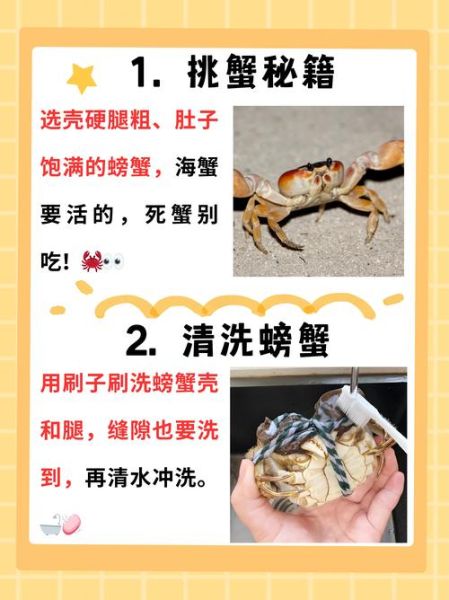 螃蟹活蒸还是杀死蒸_哪个更鲜美-第3张图片-山城妙识 螃蟹活蒸还是杀死蒸_哪个更鲜美-第3张图片-山城妙识