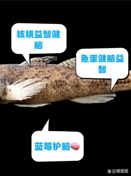 吃什么补大脑记忆力_记忆力差吃什么食物-第2张图片-山城妙识 吃什么补大脑记忆力_记忆力差吃什么食物-第2张图片-山城妙识