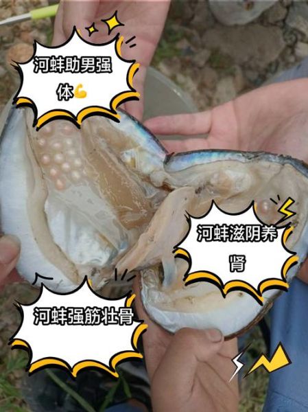 河里的河蚌怎么做好吃_河蚌清洗去腥技巧-第1张图片-山城妙识 河里的河蚌怎么做好吃_河蚌清洗去腥技巧-第1张图片-山城妙识