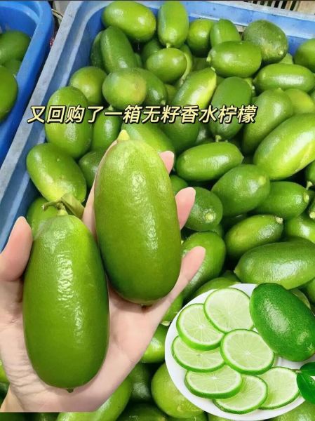 柠檬的拼音怎么写_柠檬的拼音是ning还是lin-第2张图片-山城妙识 柠檬的拼音怎么写_柠檬的拼音是ning还是lin-第2张图片-山城妙识