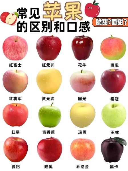 苹果图片真实照片_如何辨别原图-第2张图片-山城妙识 苹果图片真实照片_如何辨别原图-第2张图片-山城妙识