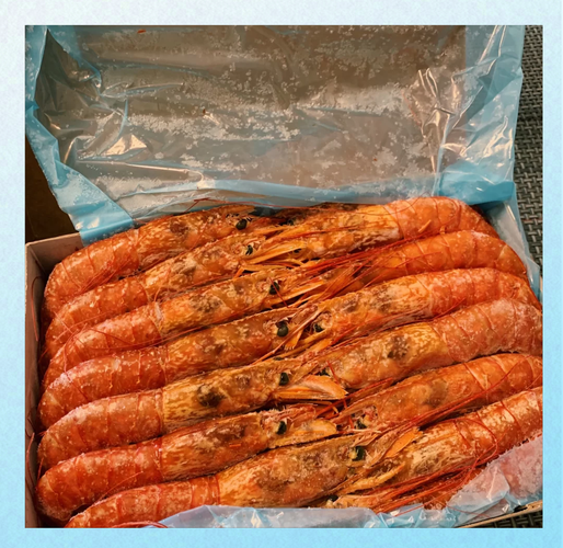 阿根廷红虾怎么做好吃_阿根廷红虾做法有几种-第2张图片-山城妙识 阿根廷红虾怎么做好吃_阿根廷红虾做法有几种-第2张图片-山城妙识