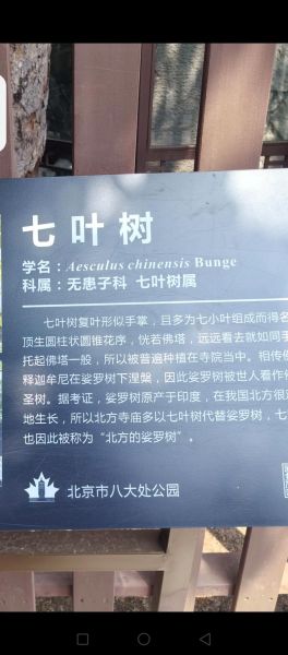 裟椤怎么读_裟椤是什么意思-第1张图片-山城妙识 裟椤怎么读_裟椤是什么意思-第1张图片-山城妙识