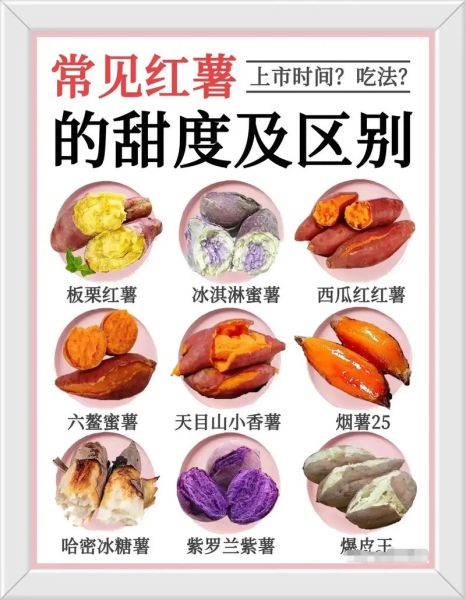 红薯减肥能吃吗_红薯的营养价值有哪些-第1张图片-山城妙识 红薯减肥能吃吗_红薯的营养价值有哪些-第1张图片-山城妙识