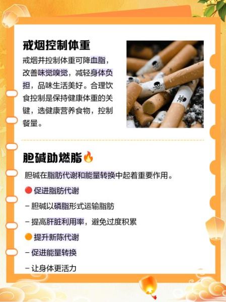 高血脂怎么办_如何降低血脂-第2张图片-山城妙识 高血脂怎么办_如何降低血脂-第2张图片-山城妙识