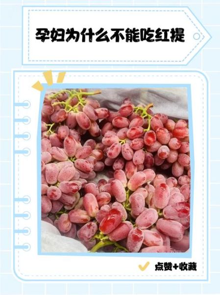 红提子的功效与作用禁忌_孕妇能吃吗-第3张图片-山城妙识 红提子的功效与作用禁忌_孕妇能吃吗-第3张图片-山城妙识