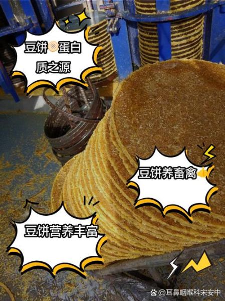 豆饼是什么_豆饼可以直接做肥料吗-第1张图片-山城妙识 豆饼是什么_豆饼可以直接做肥料吗-第1张图片-山城妙识