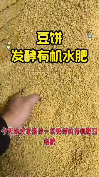 豆饼是什么_豆饼可以直接做肥料吗-第3张图片-山城妙识 豆饼是什么_豆饼可以直接做肥料吗-第3张图片-山城妙识