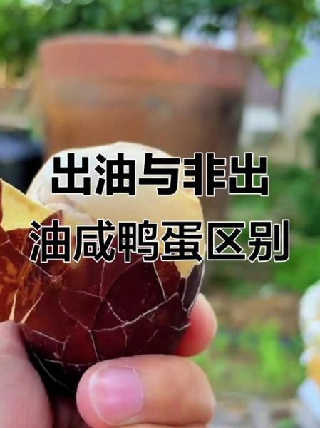 腌鸭蛋出油又不咸窍门_咸鸭蛋出油秘诀-第3张图片-山城妙识