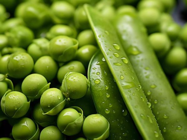 豌豆荚安卓版下载安全吗_豌豆荚安卓版怎么下载-第3张图片-山城妙识 豌豆荚安卓版下载安全吗_豌豆荚安卓版怎么下载-第3张图片-山城妙识