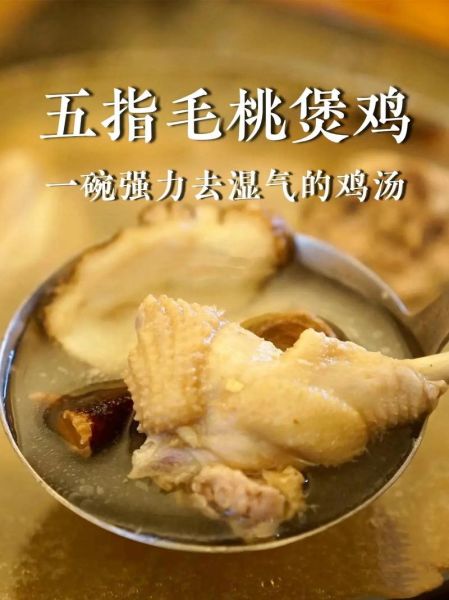 五指毛桃煲鸡汤禁忌_什么人不能喝-第3张图片-山城妙识 五指毛桃煲鸡汤禁忌_什么人不能喝-第3张图片-山城妙识