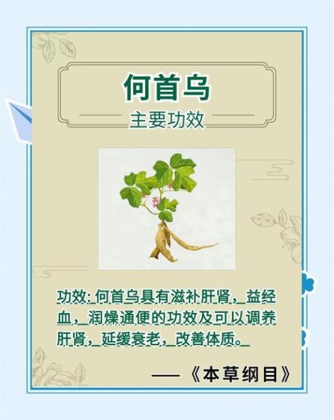 制何首乌泡水喝的副作用_何首乌泡水禁忌-第2张图片-山城妙识 制何首乌泡水喝的副作用_何首乌泡水禁忌-第2张图片-山城妙识