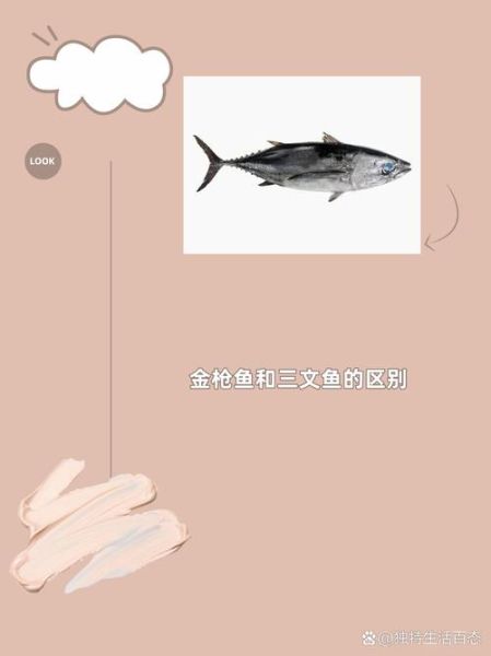 金枪鱼和三文鱼哪个贵_价格差异原因-第2张图片-山城妙识 金枪鱼和三文鱼哪个贵_价格差异原因-第2张图片-山城妙识
