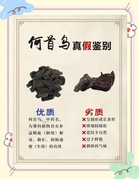 制何首乌泡水喝的副作用_何首乌泡水禁忌-第3张图片-山城妙识 制何首乌泡水喝的副作用_何首乌泡水禁忌-第3张图片-山城妙识