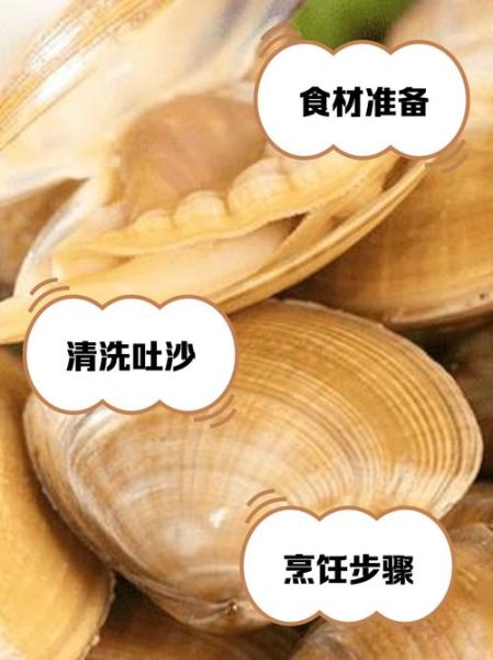 黄蚬子怎么吐沙子干净快_黄蚬子吐沙子最快的方法-第1张图片-山城妙识