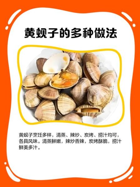 黄蚬子怎么吐沙子干净快_黄蚬子吐沙子最快的方法-第2张图片-山城妙识