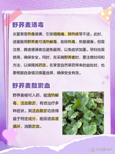 荞麦的功效与作用_荞麦的食用方法与禁忌-第1张图片-山城妙识