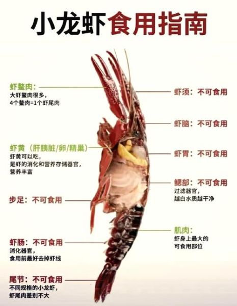 大龙虾怎么杀_活龙虾处理步骤-第1张图片-山城妙识 大龙虾怎么杀_活龙虾处理步骤-第1张图片-山城妙识