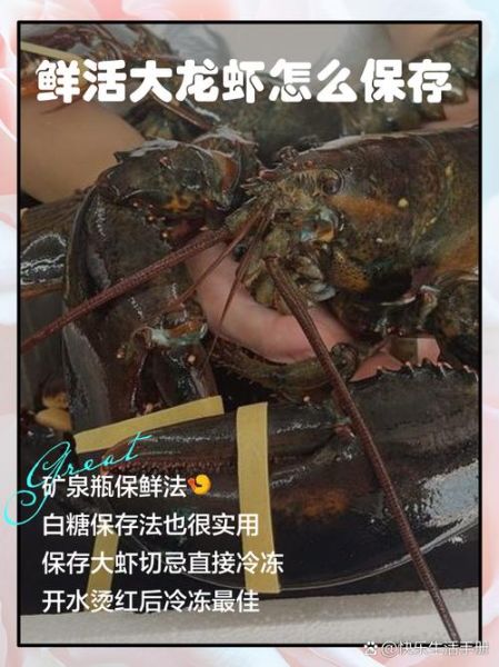 大龙虾怎么杀_活龙虾处理步骤-第2张图片-山城妙识 大龙虾怎么杀_活龙虾处理步骤-第2张图片-山城妙识