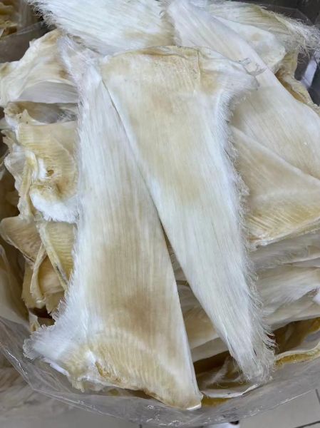 干鱼翅的价格一般是多少_干鱼翅多少钱一斤-第1张图片-山城妙识 干鱼翅的价格一般是多少_干鱼翅多少钱一斤-第1张图片-山城妙识