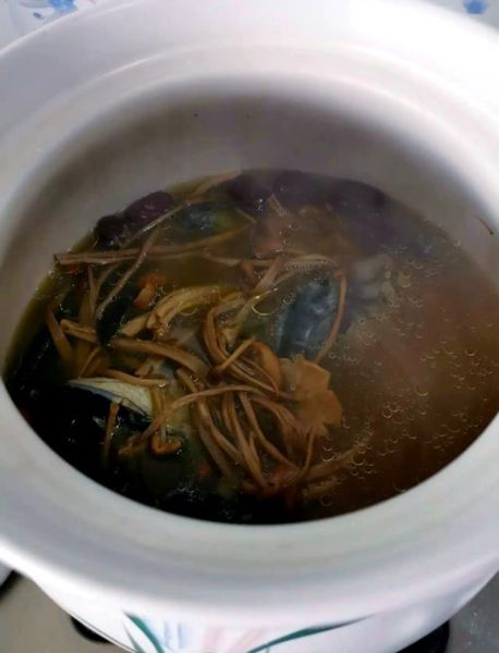 茶树菇乌鸡汤怎么炖好喝_茶树菇乌鸡汤功效与禁忌-第1张图片-山城妙识