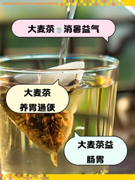 大麦茶的功效与作用_大麦茶的禁忌症有哪些-第3张图片-山城妙识