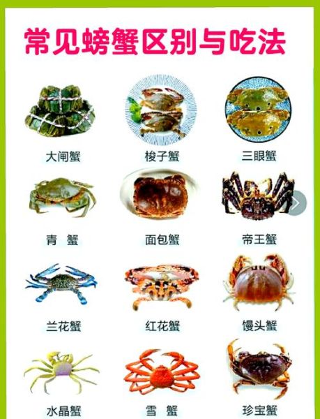 河蟹怎么吃_清蒸河蟹步骤-第3张图片-山城妙识