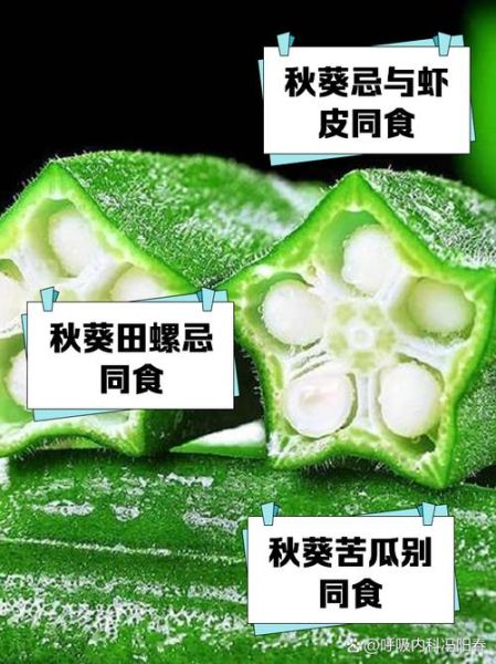 吃秋葵的禁忌有哪些_秋葵不能和什么一起吃-第1张图片-山城妙识 吃秋葵的禁忌有哪些_秋葵不能和什么一起吃-第1张图片-山城妙识