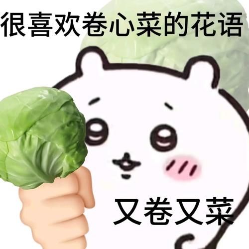 卷心菜表情包怎么保存_卷心菜表情包有哪些含义-第2张图片-山城妙识 卷心菜表情包怎么保存_卷心菜表情包有哪些含义-第2张图片-山城妙识