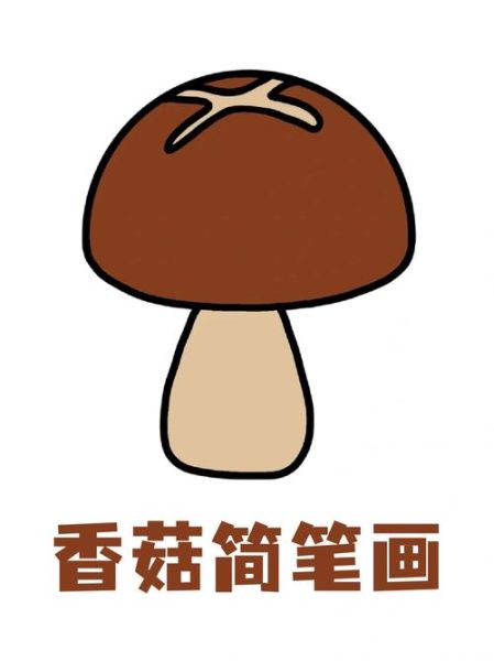 香菇青菜简笔画怎么画_香菇青菜简笔画步骤-第2张图片-山城妙识