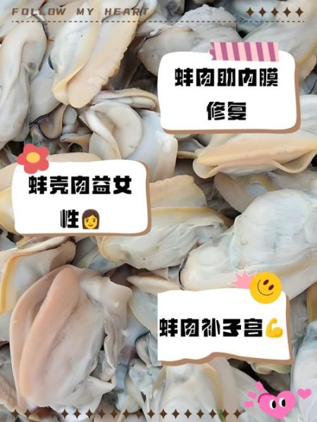 河蚌的功效与作用禁忌_河蚌怎么吃才安全-第3张图片-山城妙识