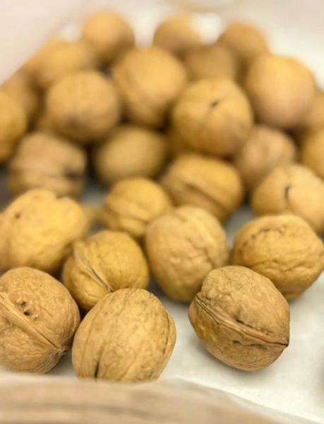 核桃仁怎么炒_核桃仁炒多久才香脆-第1张图片-山城妙识