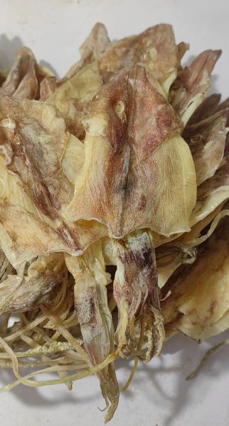 干鱿鱼怎么泡发_水发干鱿鱼的做法-第2张图片-山城妙识 干鱿鱼怎么泡发_水发干鱿鱼的做法-第2张图片-山城妙识