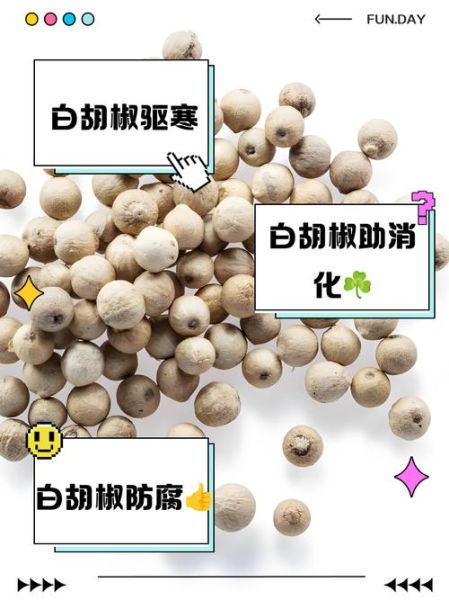 白胡椒的功效与作用_白胡椒的禁忌有哪些-第1张图片-山城妙识 白胡椒的功效与作用_白胡椒的禁忌有哪些-第1张图片-山城妙识