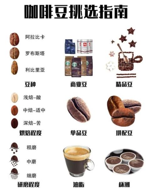 常见豆子种类有哪些_如何挑选优质豆子-第3张图片-山城妙识 常见豆子种类有哪些_如何挑选优质豆子-第3张图片-山城妙识
