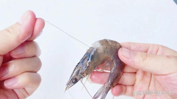 对虾怎么去虾线_虾线挑不干净怎么办-第2张图片-山城妙识