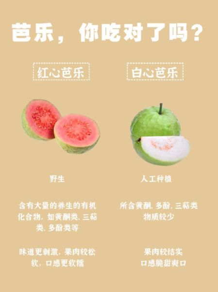 芭乐怎么吃_芭乐的功效与作用-第1张图片-山城妙识