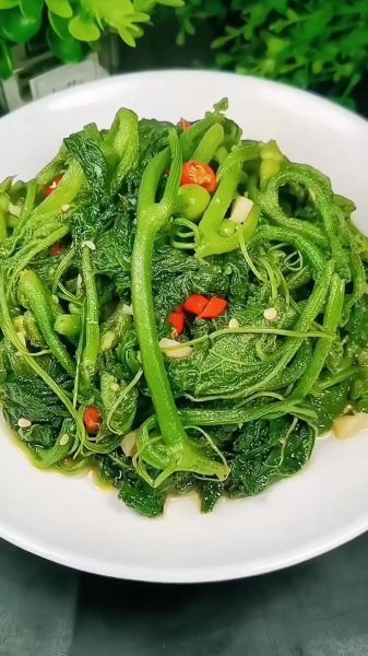 南瓜叶怎么炒好吃又简单_南瓜叶炒多久才嫩-第2张图片-山城妙识