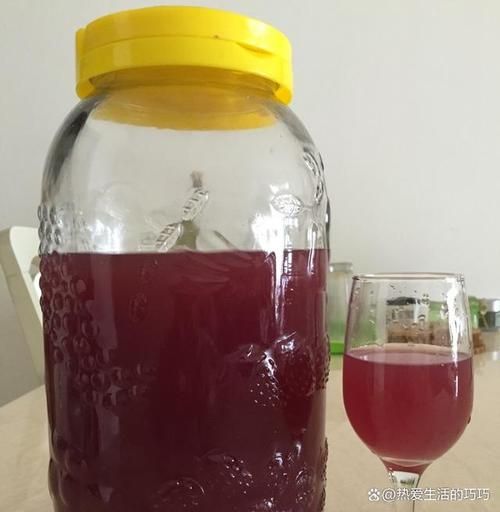 自制葡萄酒怎么做_家庭自酿葡萄酒详细步骤-第3张图片-山城妙识