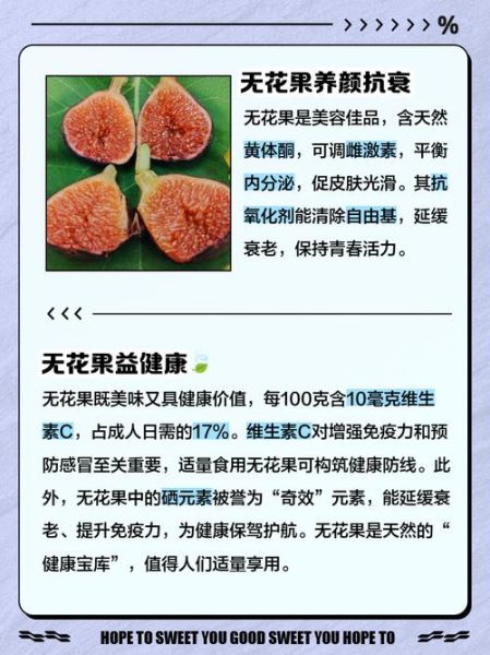 无花果的药用价值有哪些_无花果的营养价值高吗-第3张图片-山城妙识 无花果的药用价值有哪些_无花果的营养价值高吗-第3张图片-山城妙识