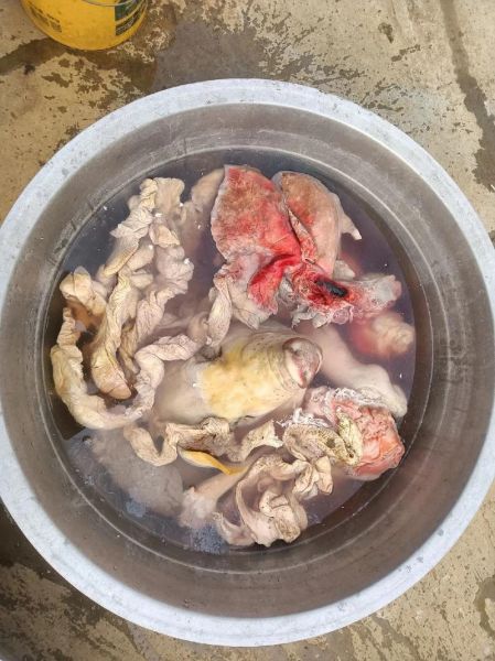 古老肉怎么做才正宗_古老肉用什么肉最好-第1张图片-山城妙识