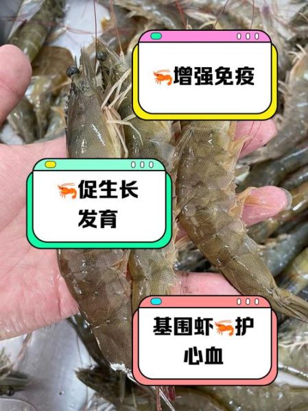 基围虾的营养价值及功效_基围虾适合什么人吃-第1张图片-山城妙识 基围虾的营养价值及功效_基围虾适合什么人吃-第1张图片-山城妙识