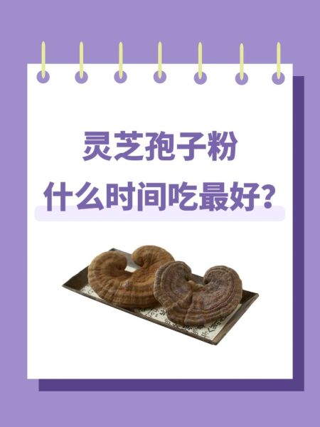 灵芝孢子粉多少钱一斤_灵芝孢子粉价格差异原因-第3张图片-山城妙识