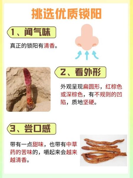 男人吃锁阳能延时吗_锁阳持久力真假-第3张图片-山城妙识 男人吃锁阳能延时吗_锁阳持久力真假-第3张图片-山城妙识