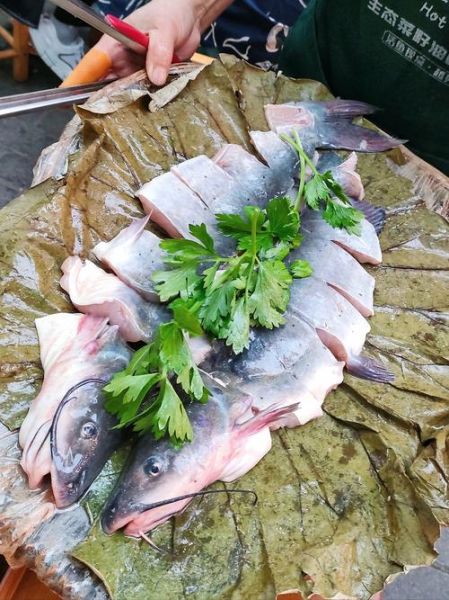 清汤江团鱼怎么做_江团鱼炖汤技巧-第2张图片-山城妙识