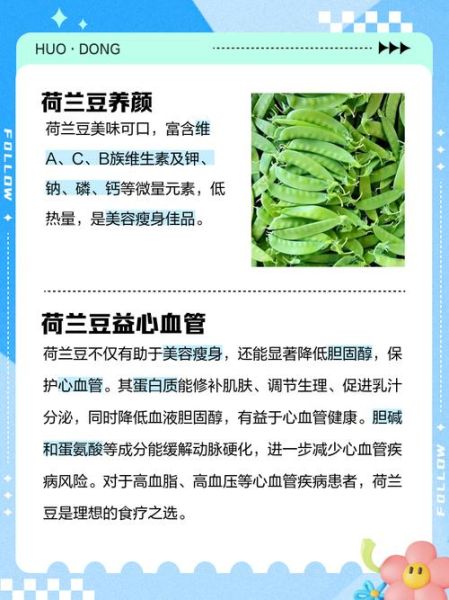 荷兰豆不能和什么一起吃_荷兰豆禁忌有哪些-第3张图片-山城妙识