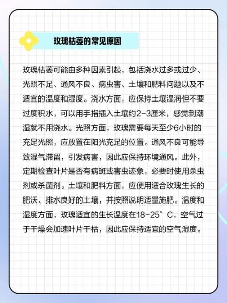 玫瑰花怎么养才不会枯萎_玫瑰枯萎原因及解决方法-第3张图片-山城妙识